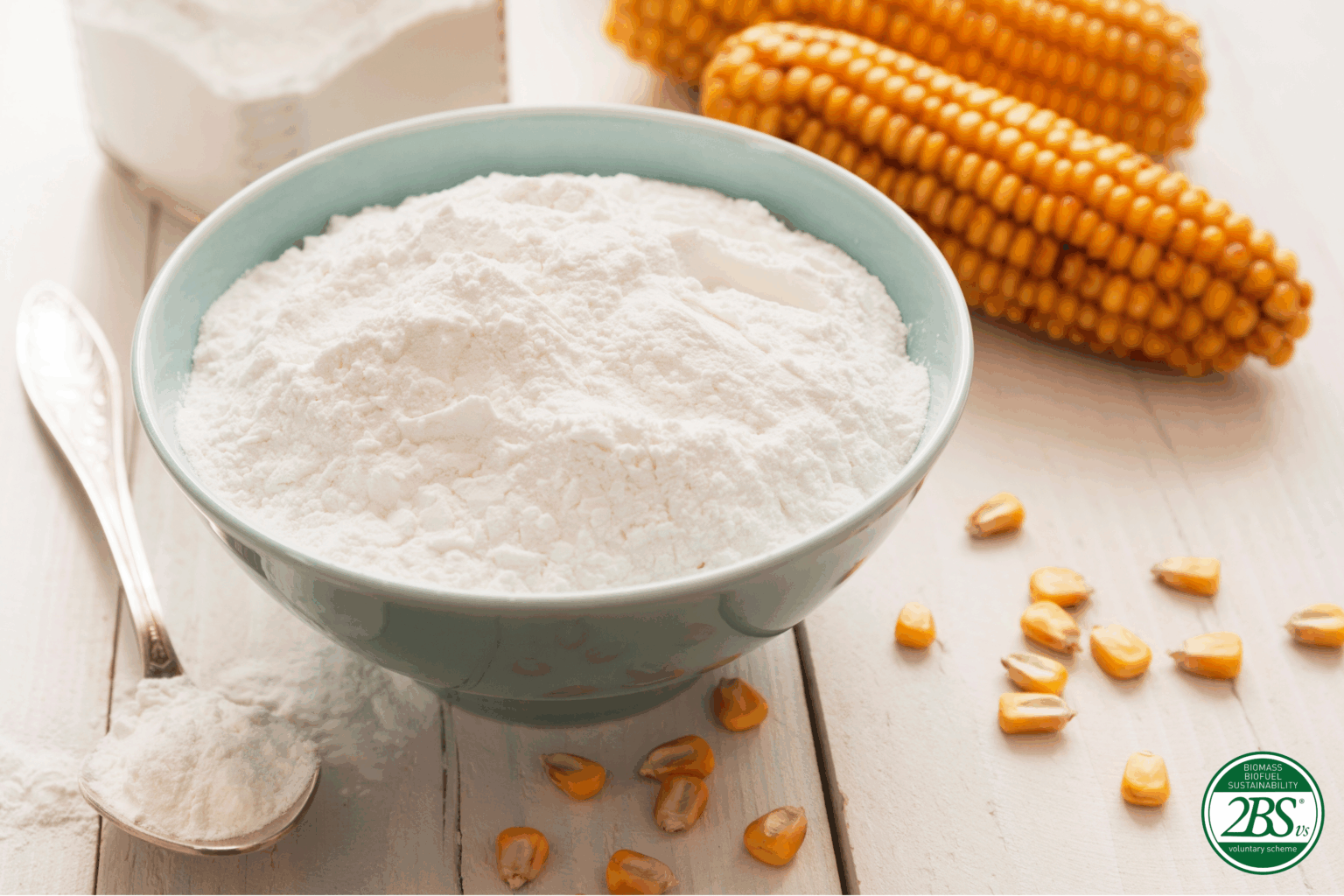 Clarification on the Status of Waste Starch Slurry under the RED ...